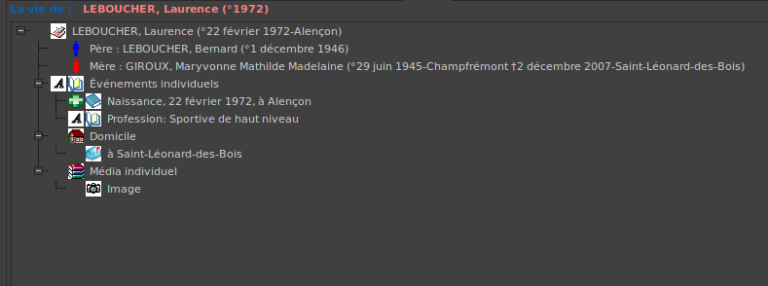 TVirtualTreeView – Lazarus Components
